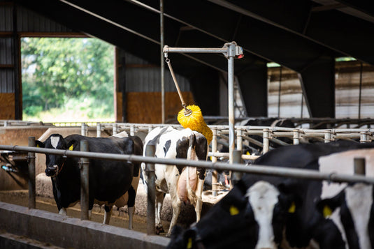 Vi skaber det gide miljø – Jyden Bur